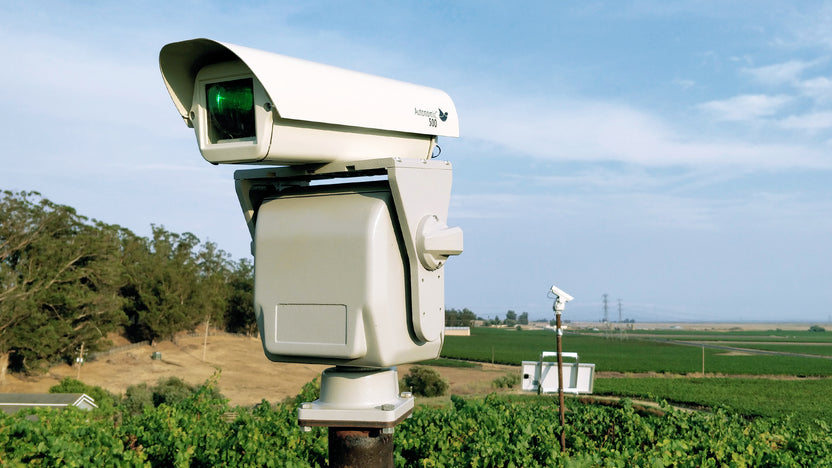 Laser Detterent – RAM Bird Control & Agriculture Management